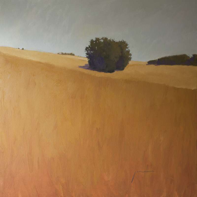 A summer affair with Dan Jones | High Plains Reader, Fargo ND