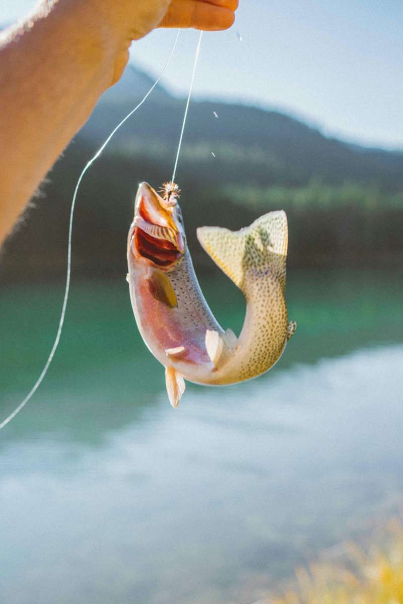 North Dakota Free Fishing Weekend | High Plains Reader, Fargo ND